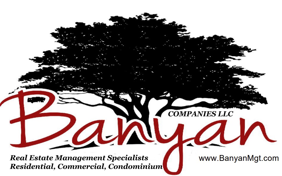 Banyan - BANYAN COMPANIES LLC